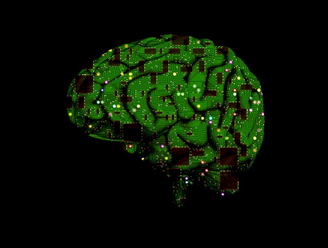 Brain Scans Show Musicians To Have Larger Corpus Callosum Bundles